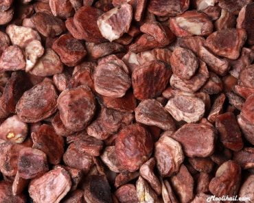 Health Benefits Of Marking Nut (Semecarpus Anacardium) - Moolihai.com