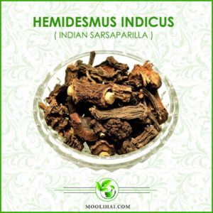 Anantmool (Hemidesmus Indicus): Uses, Health Benefits, Side Effects ...