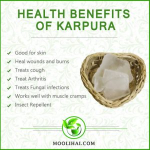 Benefits Of Karpura - Moolihai Ayurveda