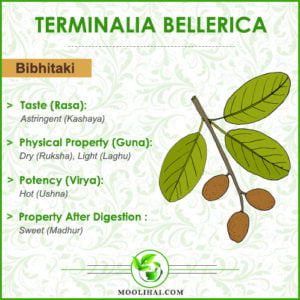 Nutrional & Health Benefits of Triphala - Moolihai.com