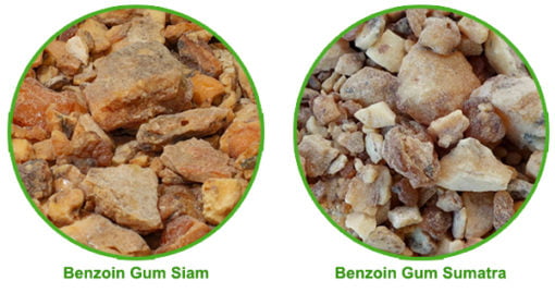 Traditional Uses & Health Benefits of Sambrani | Benzoin Resin - Moolihai