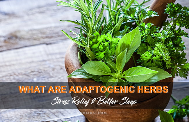 14 Best Adaptogenic Herbs Of Ayurveda: Depression, Sleep & Stress