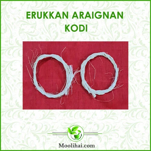 Erukkan Araignan Kodi For Babies | 100 % Organic & Natural -3 Set- Pack ...