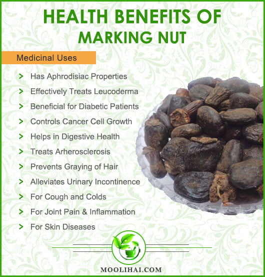 Health Benefits Of Marking Nut (Semecarpus Anacardium) - Moolihai.com