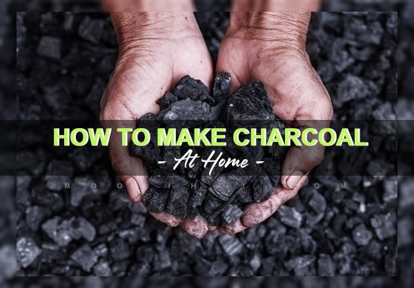 Activated Charcoal : Health Benefits and How to Use it - Moolihai