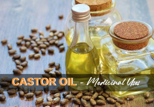 Emerging Medicinal Uses and Unknown Facts of Castor Oil - Moolihai