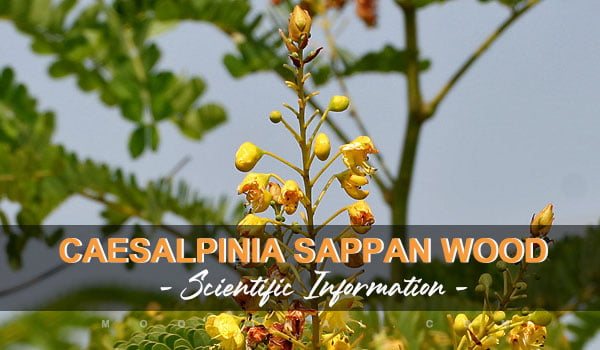 Health Benefits of Caesalpinia Sappan Wood (Padhimugam)